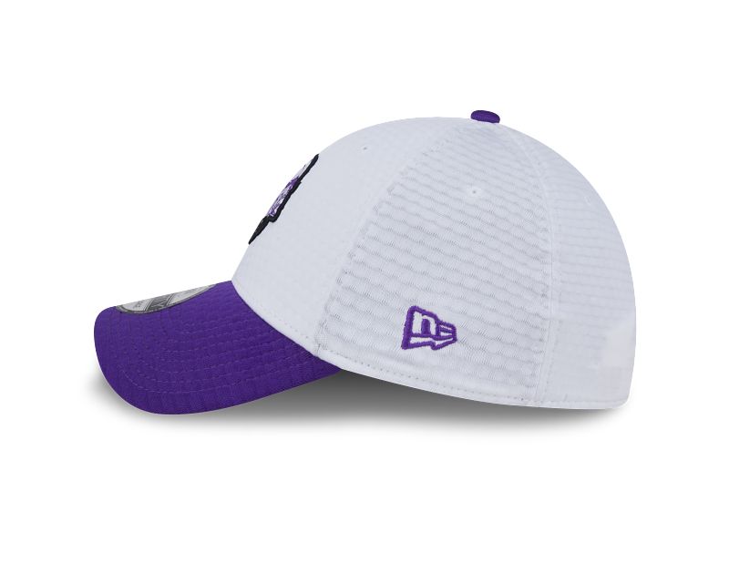 Minnesota Vikings Hats & Caps – New Era Cap Australia